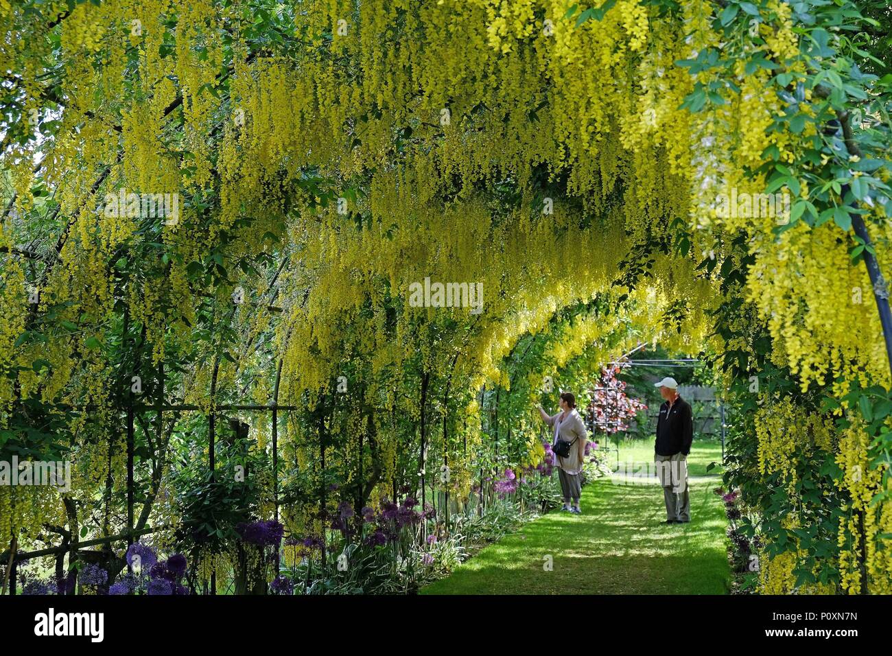 Seaton delaval hall northumberland hi-res stock photography and images ...
