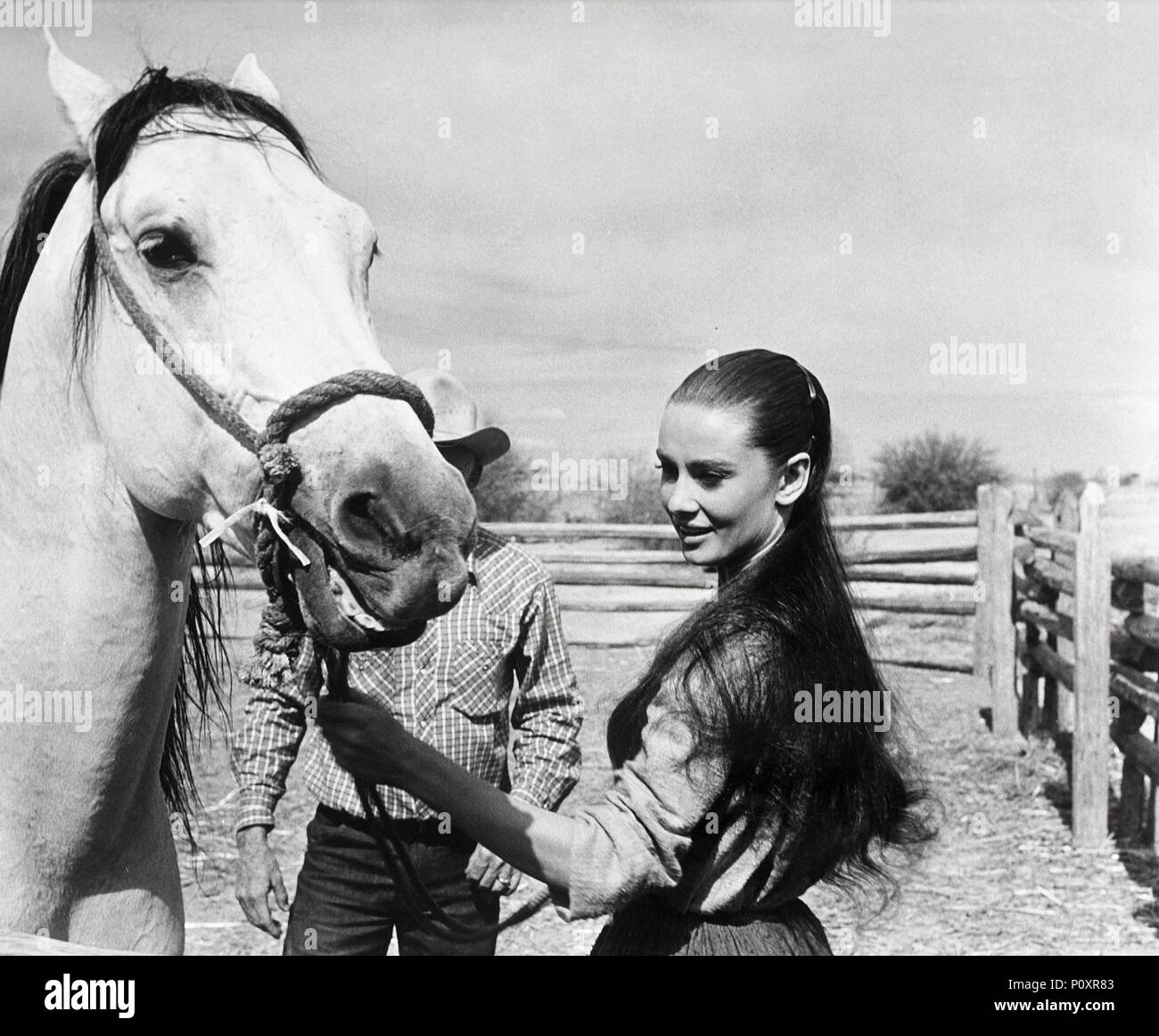 Unforgiven audrey hepburn hi-res stock photography and images - Alamy