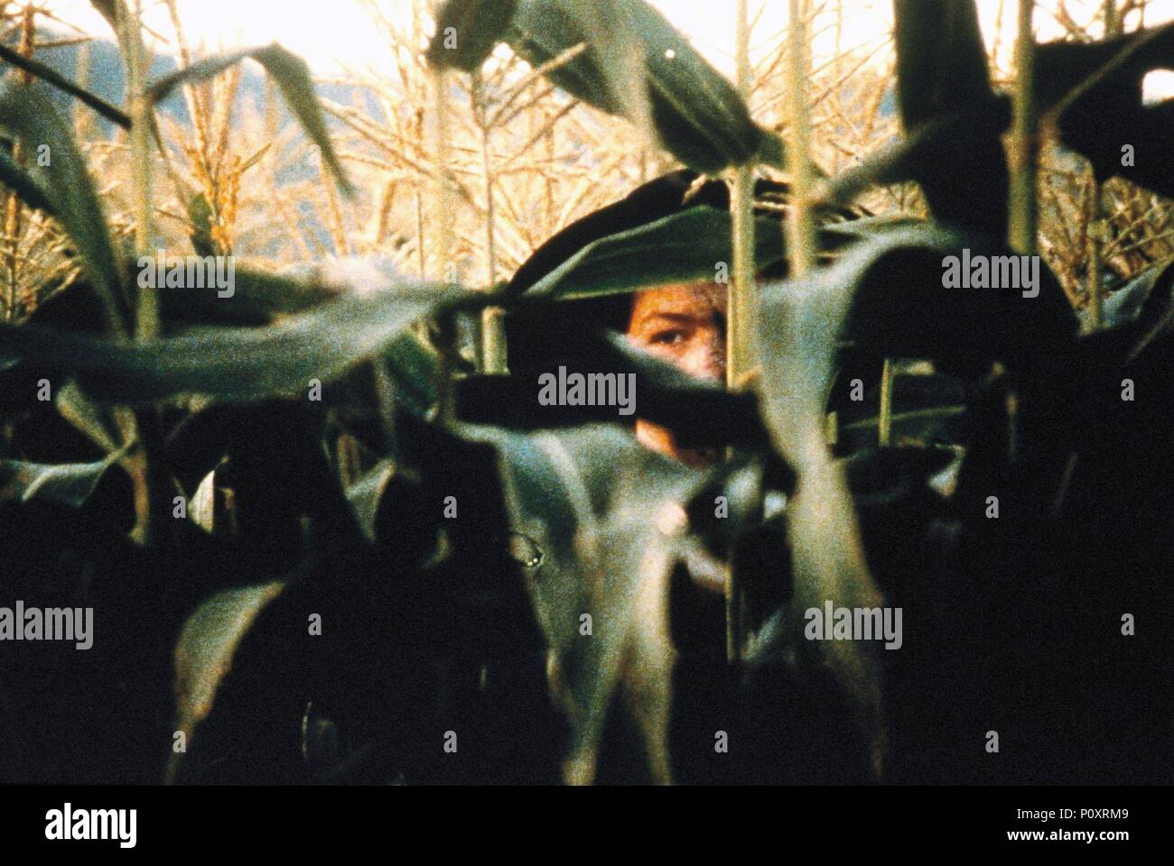 Original Film Title: CHILDREN OF THE CORN. English Title: CHILDREN OF ...