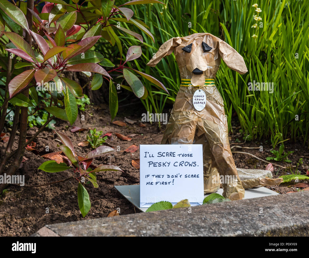 Dog scarecrow hi-res stock photography and images - Alamy