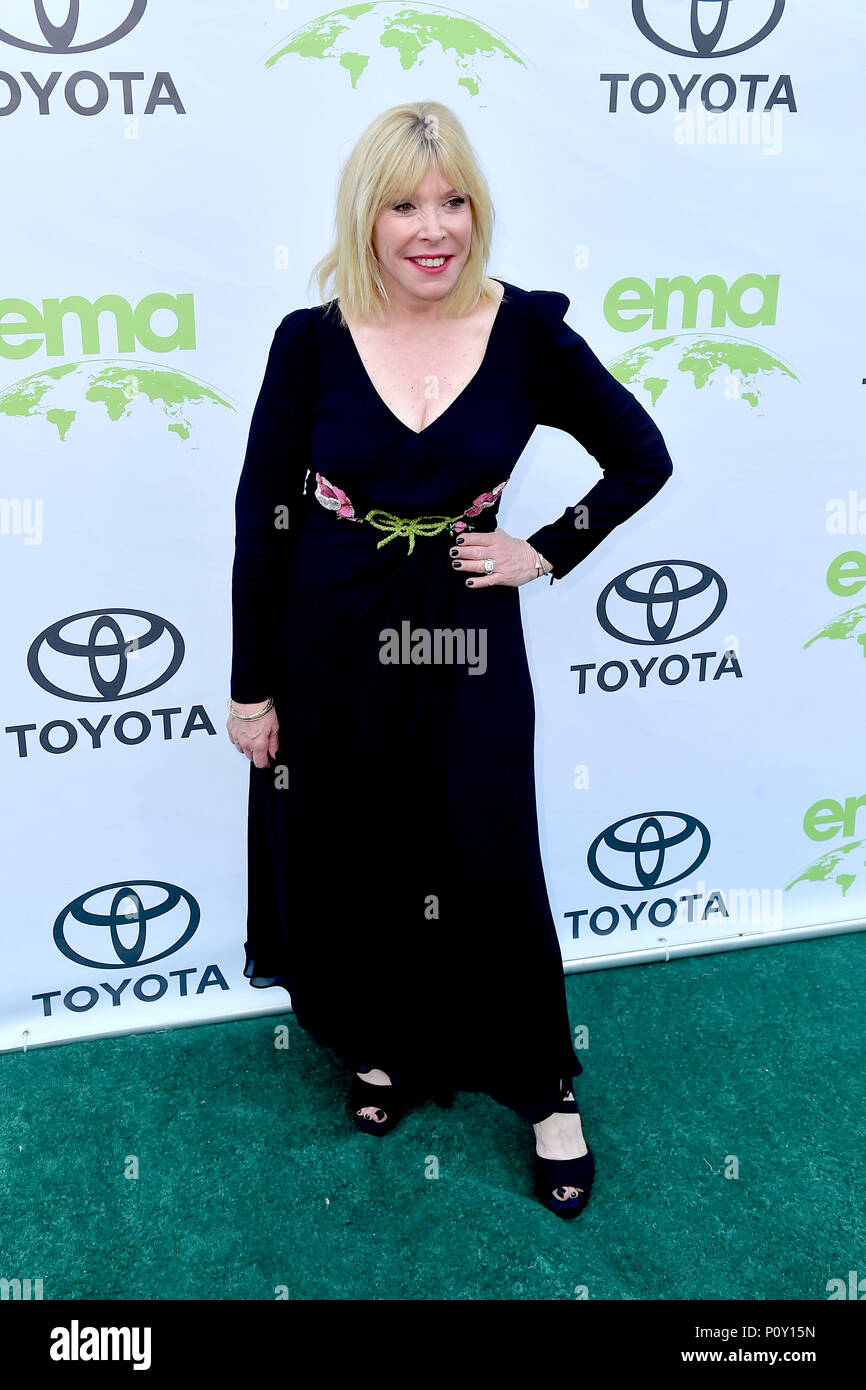Los Angeles, USA. 9th June 2018. Debbie Levin attending the 1st Annual ...