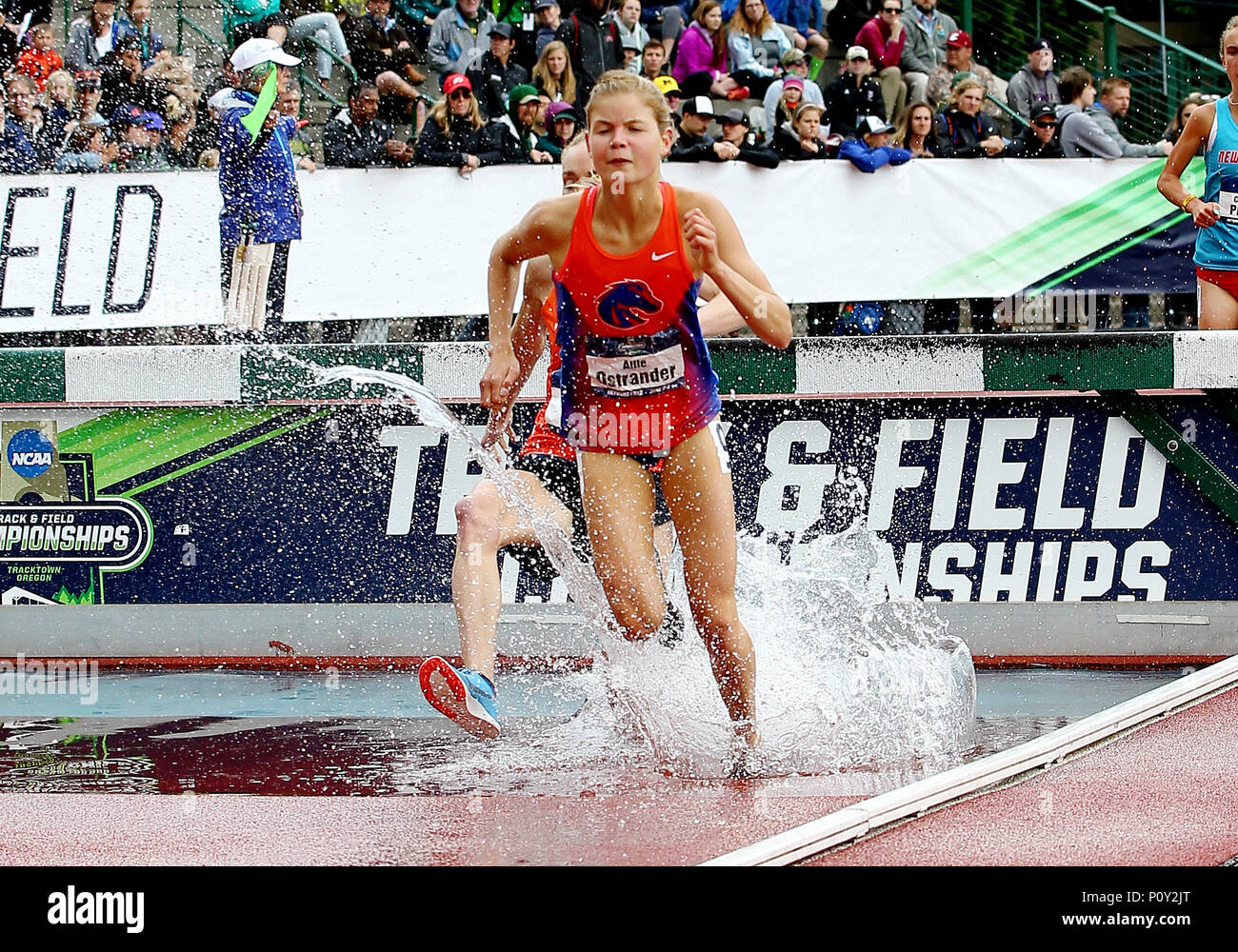 Allie ostrander hi-res stock photography and images - Alamy