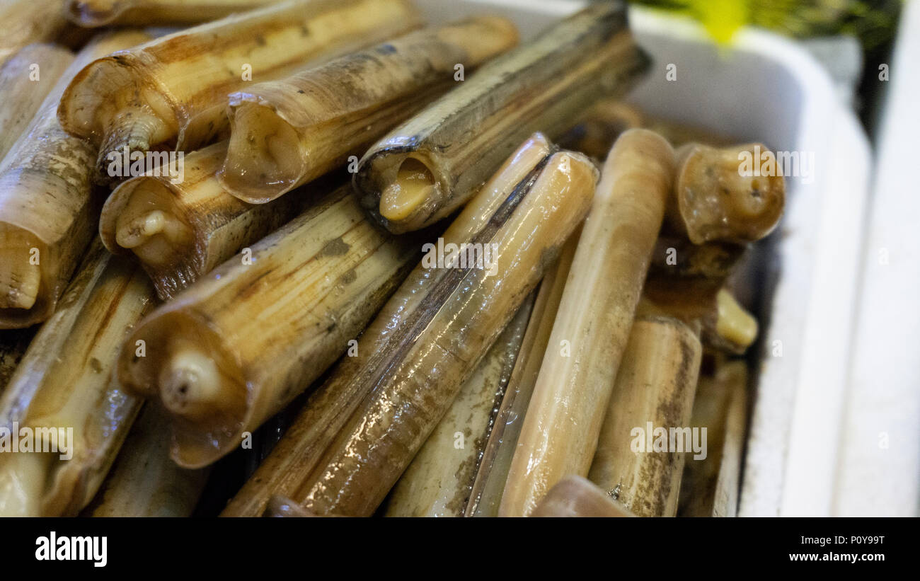 Fresh fish at the fish market, fish on display many types of fish Stock ...