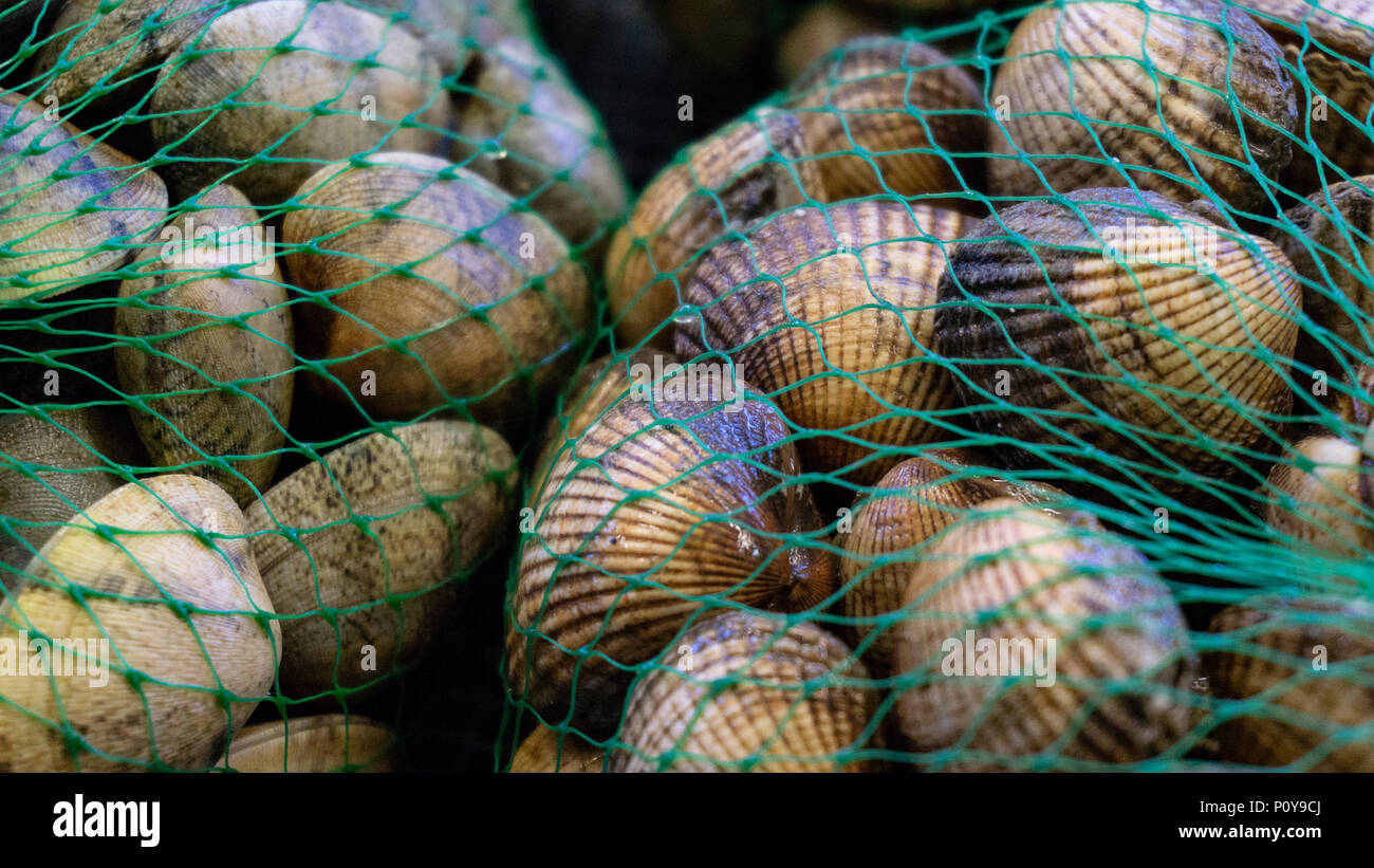 Fresh fish at the fish market, fish on display many types of fish Stock ...