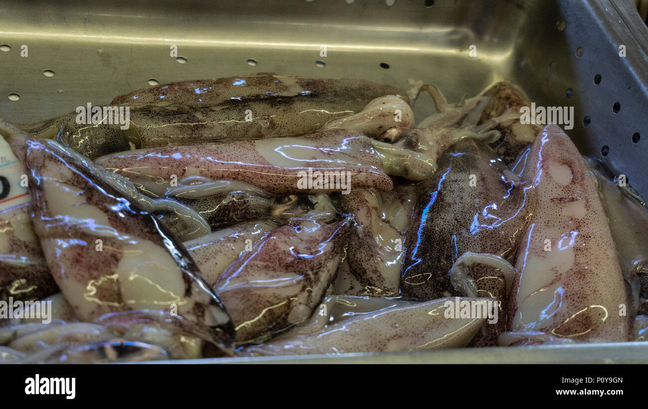 Fresh fish at the fish market, fish on display many types of fish Stock ...