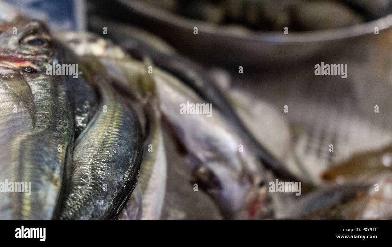 Fresh fish at the fish market, fish on display many types of fish Stock ...