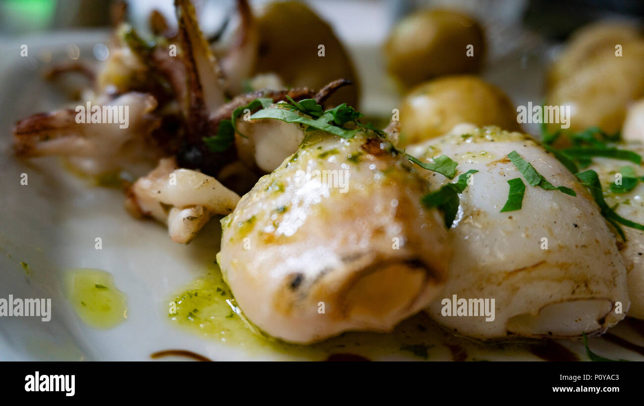 Cuttlefish ring hi-res stock photography and images - Alamy
