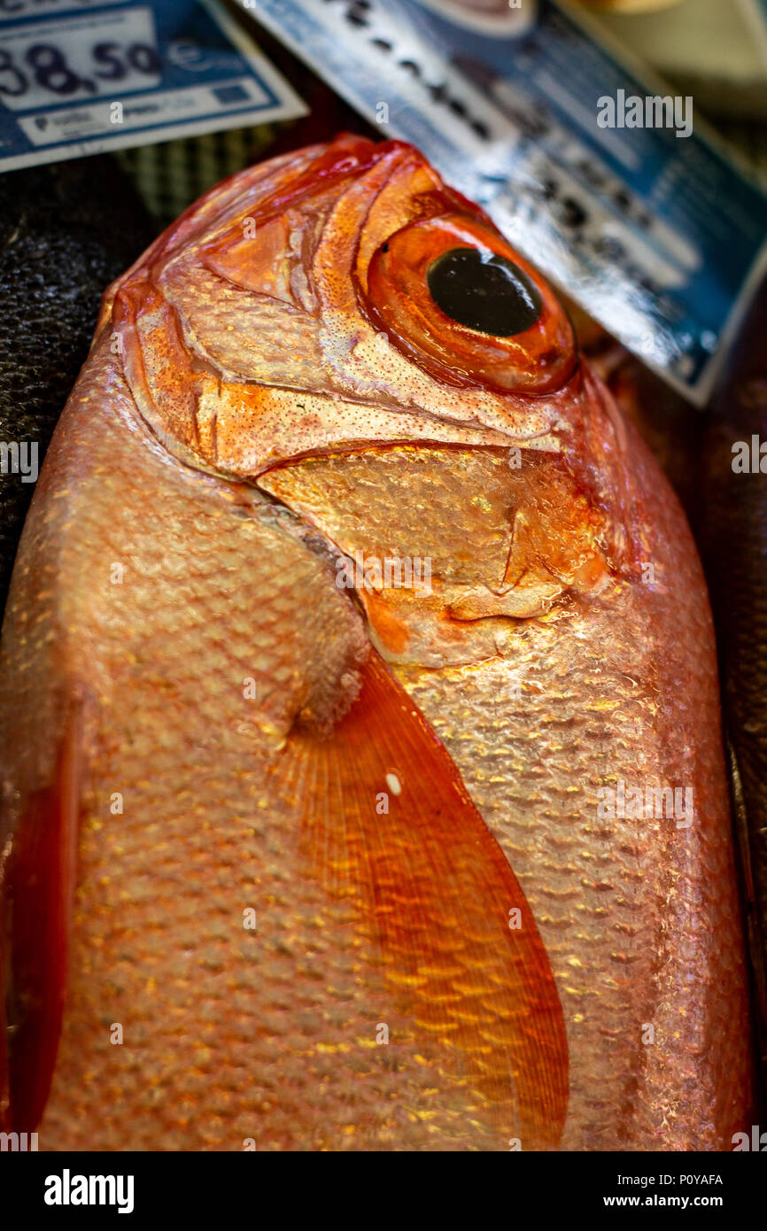 Fresh fish at the fish market, fish on display many types of fish Stock ...