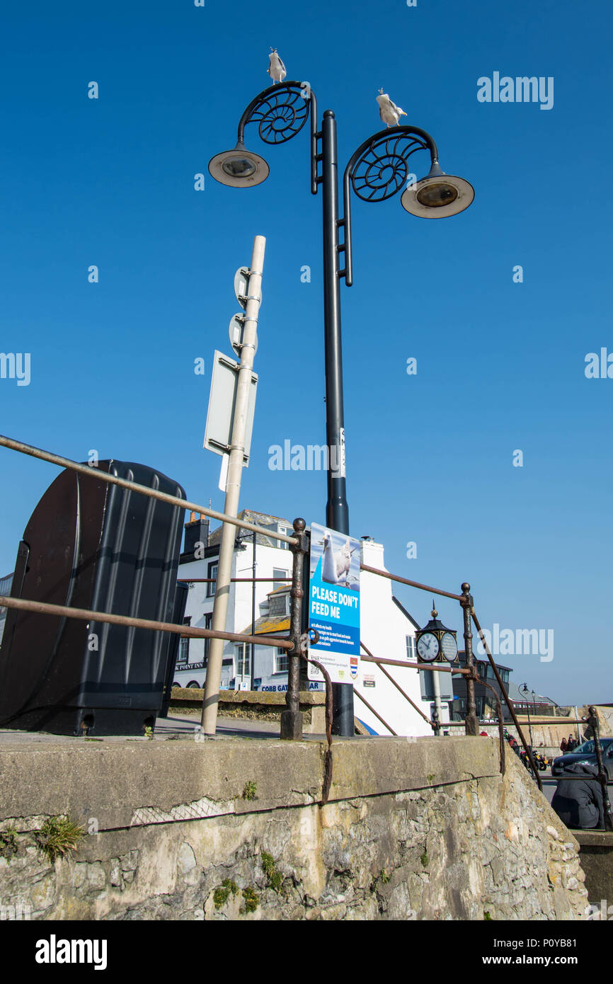 Lime Regis England art lam lamppost fence metal barrier bin plastic ...