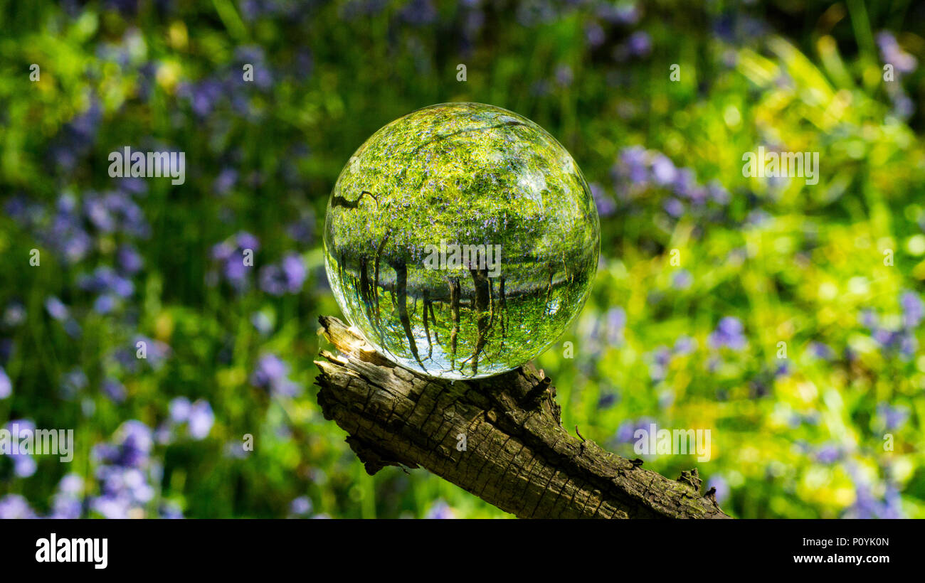 Crystal Photo Magnifying Ball in Forest showing reflected and refracted ...