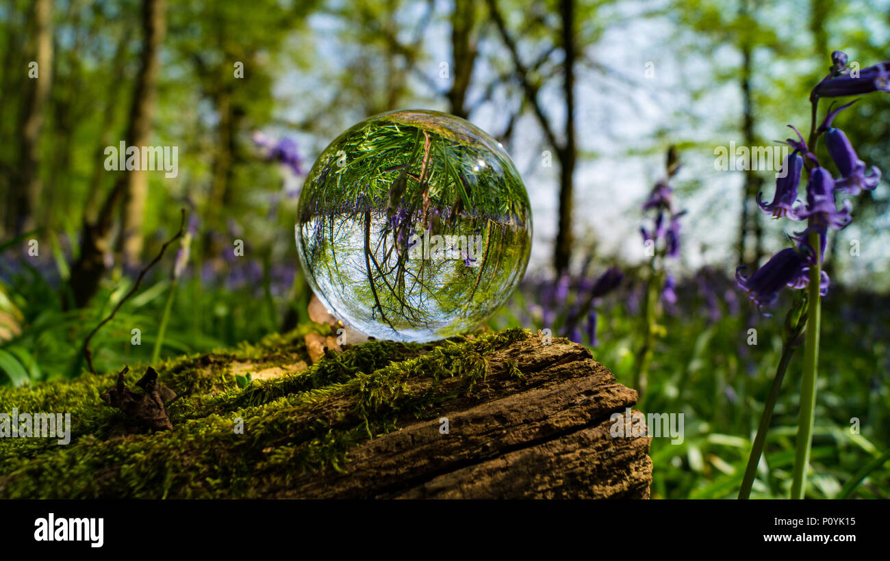 Crystal Photo Magnifying Ball in Forest showing reflected and refracted ...