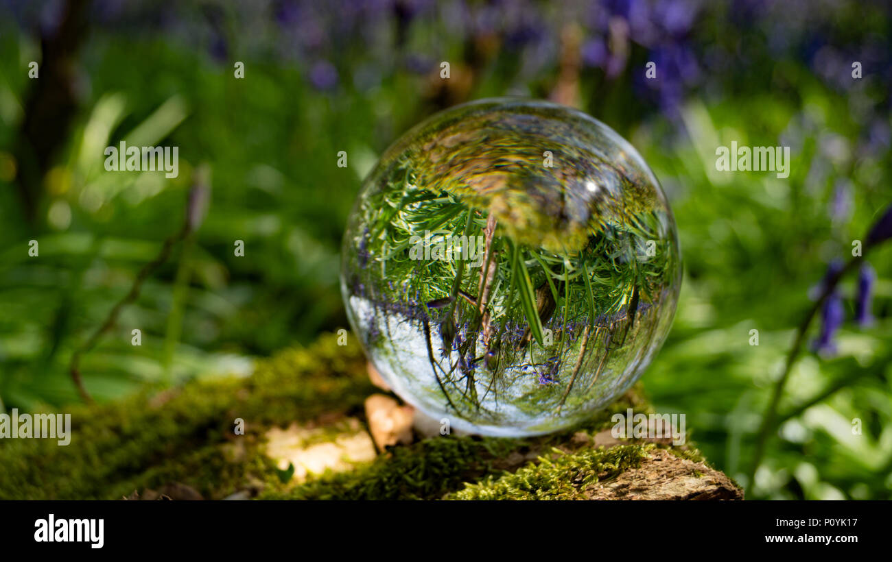 Crystal Photo Magnifying Ball in Forest showing reflected and refracted ...