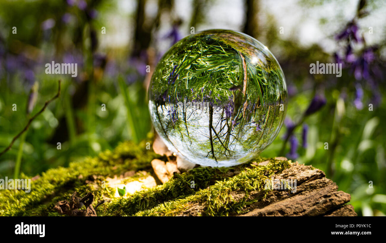 Crystal Photo Magnifying Ball in Forest showing reflected and refracted ...