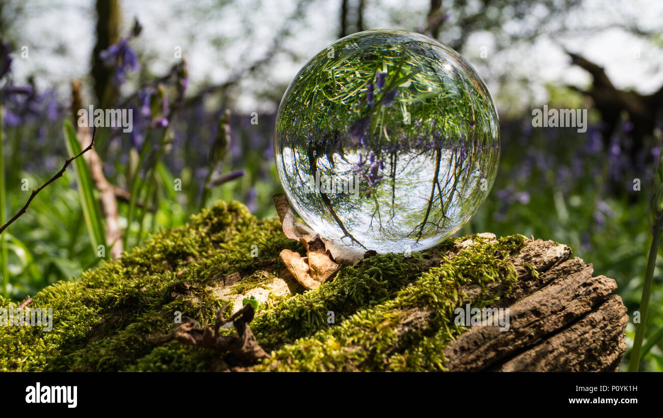Photo Light Crystal Ball in Blue Bell Forest showing refracted ...