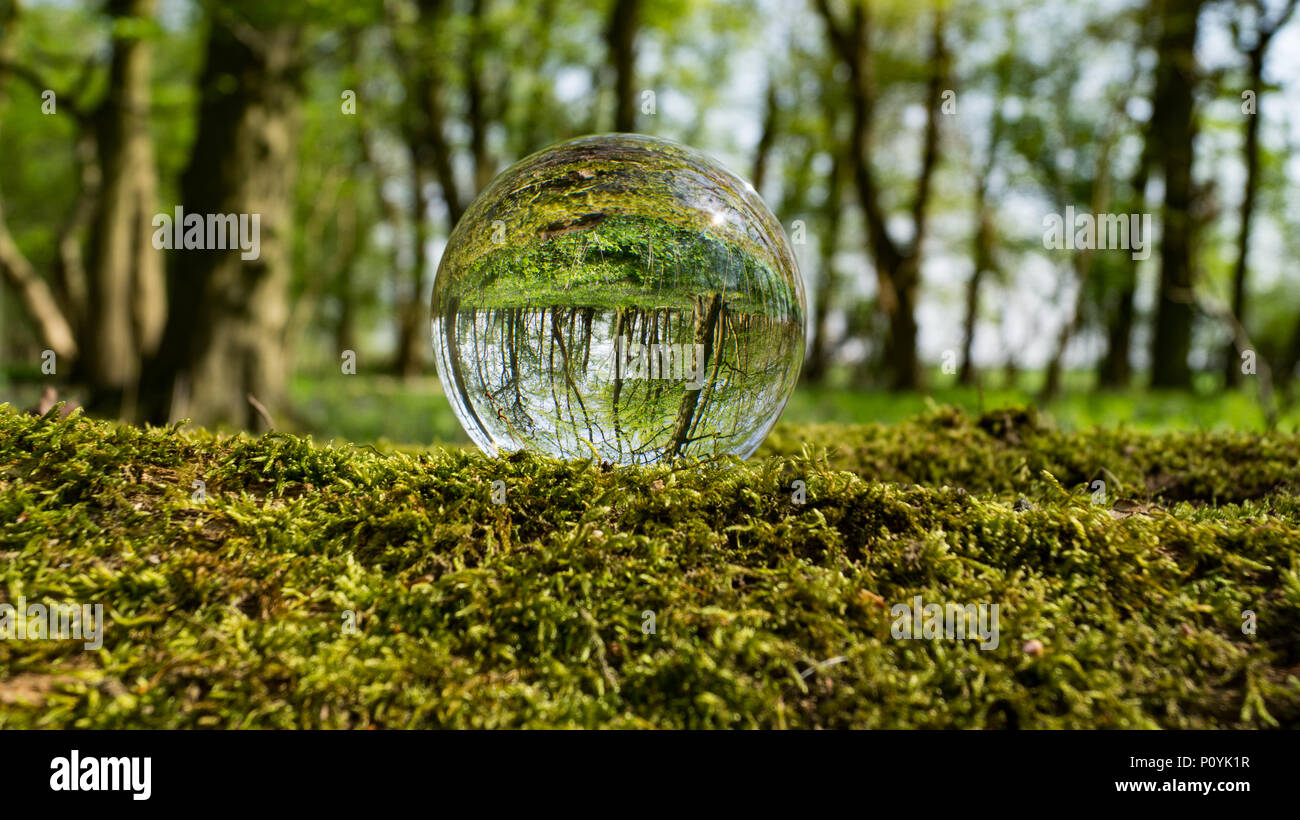 Crystal Photo Magnifying Ball in Forest showing reflected and refracted ...