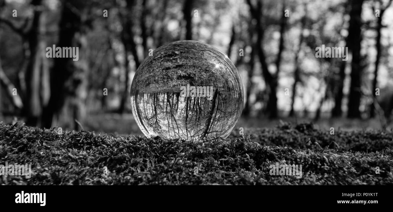 Crystal Photo Magnifying Ball in Forest showing reflected and refracted ...