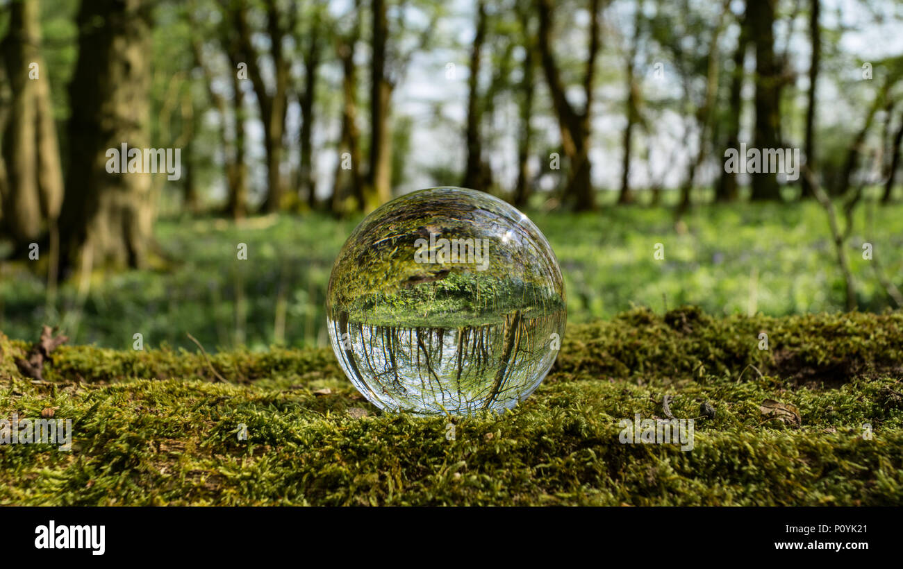 Crystal Photo Magnifying Ball in Forest showing reflected and refracted ...