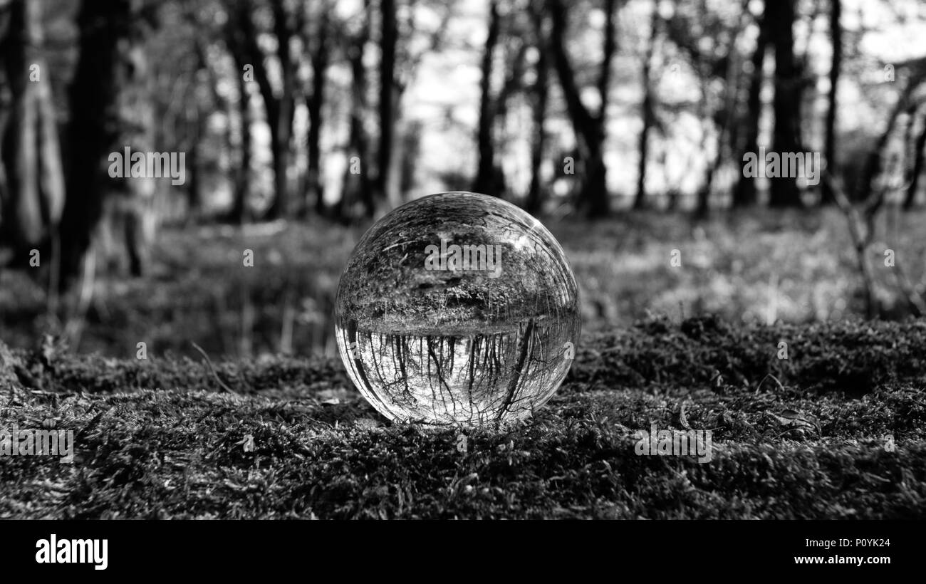 Crystal Photo Magnifying Ball in Forest showing reflected and refracted ...