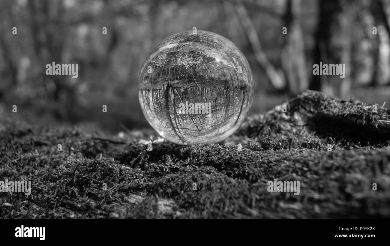 Crystal Photo Magnifying Ball in Forest showing reflected and refracted ...
