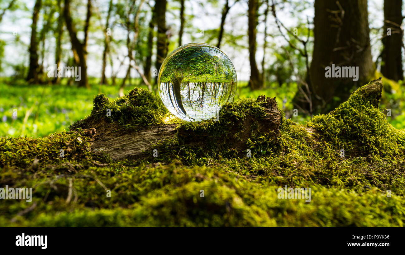 Crystal Photo Magnifying Ball in Forest showing reflected and refracted ...