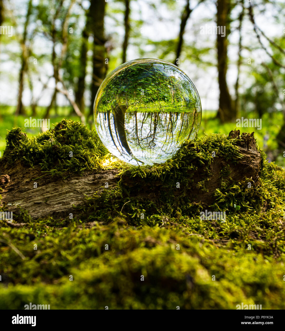 Crystal Photo Magnifying Ball in Forest showing reflected and refracted ...