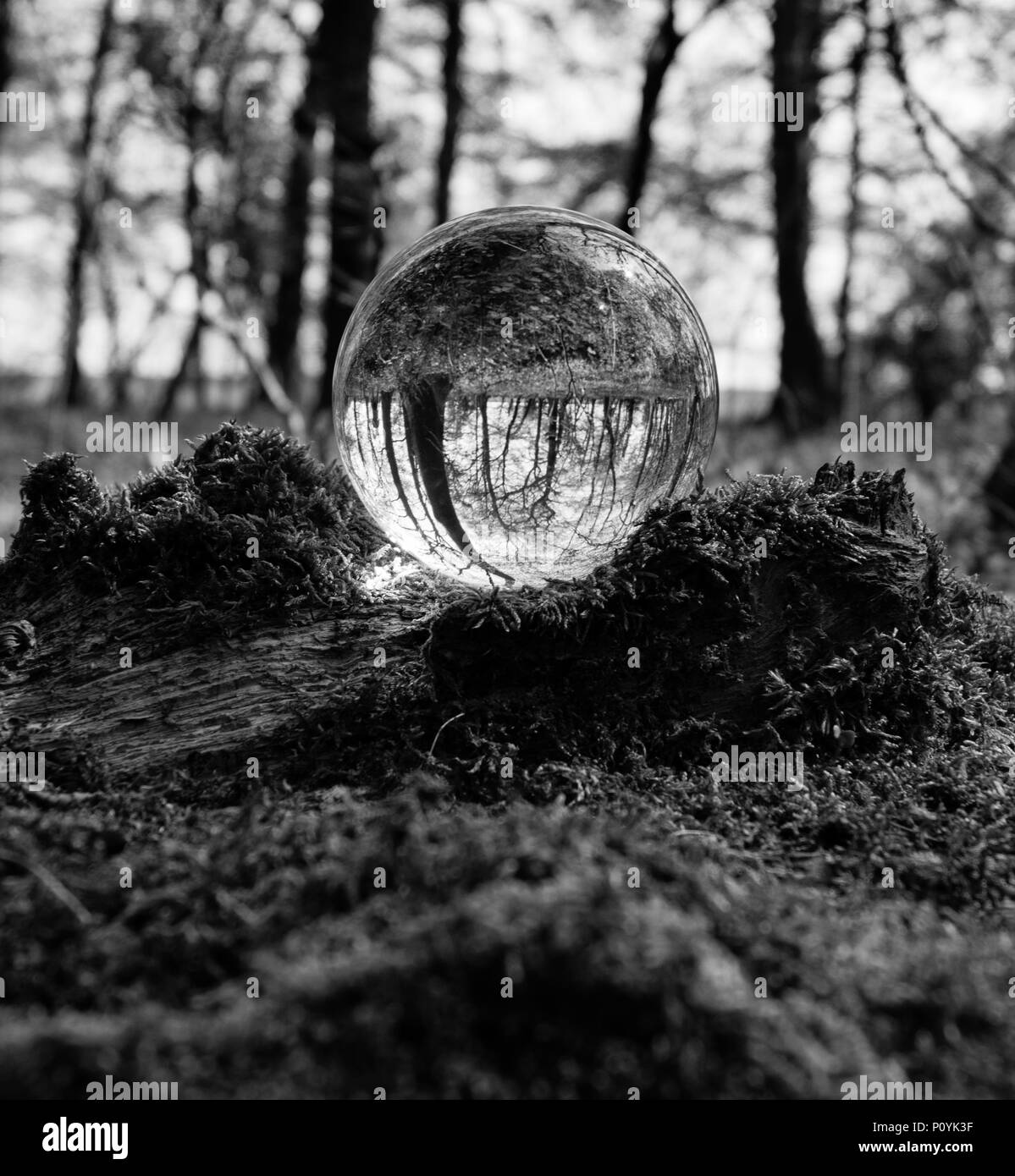 Crystal Photo Magnifying Ball in Forest showing reflected and refracted ...