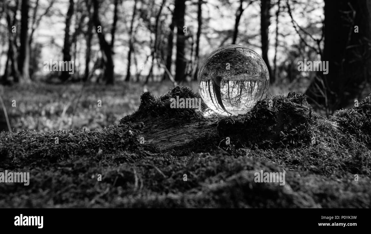 Crystal Photo Magnifying Ball in Forest showing reflected and refracted ...