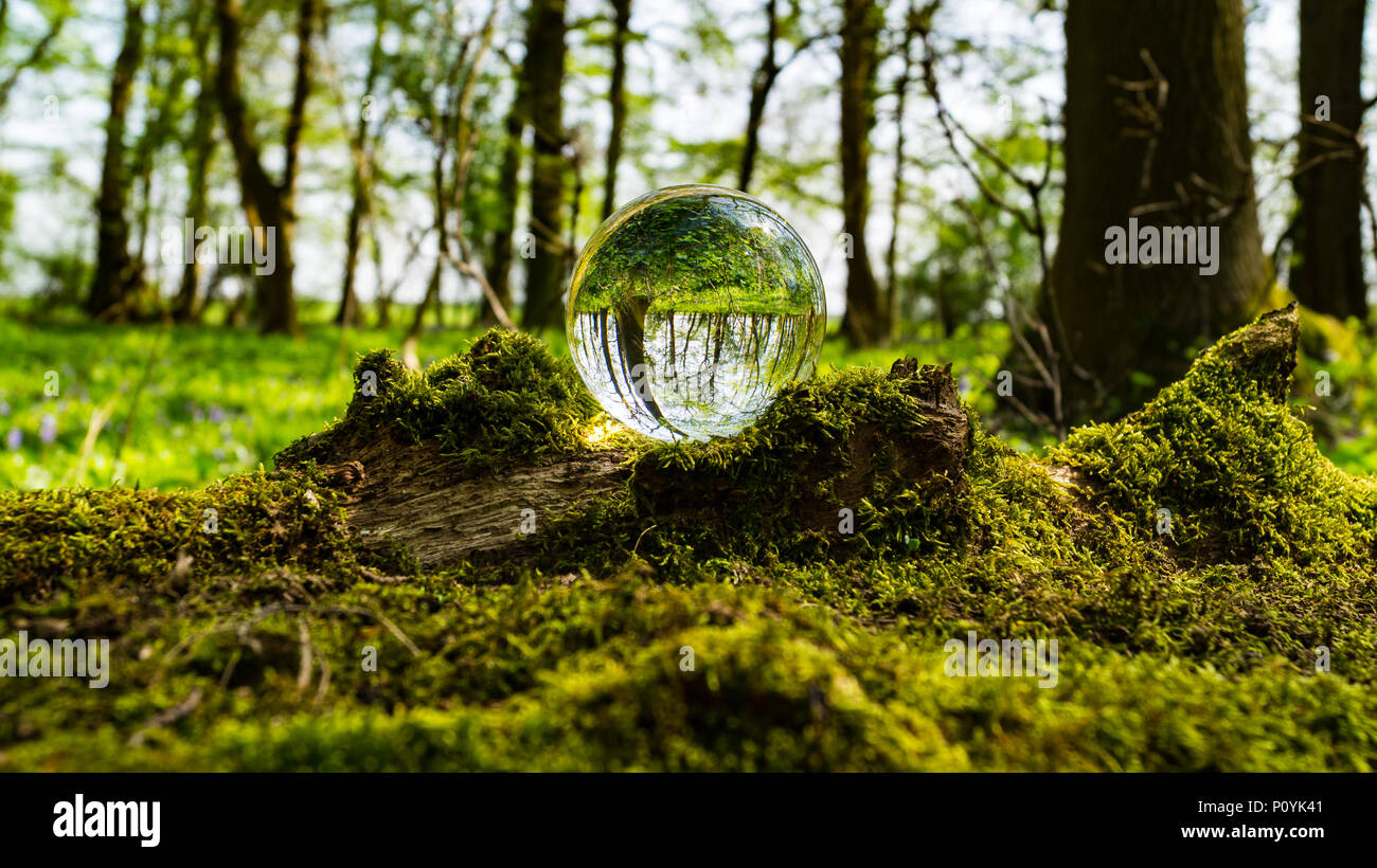 Crystal Photo Magnifying Ball in Forest showing reflected and refracted ...