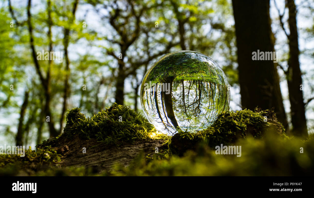 Crystal Photo Magnifying Ball in Forest showing reflected and refracted ...