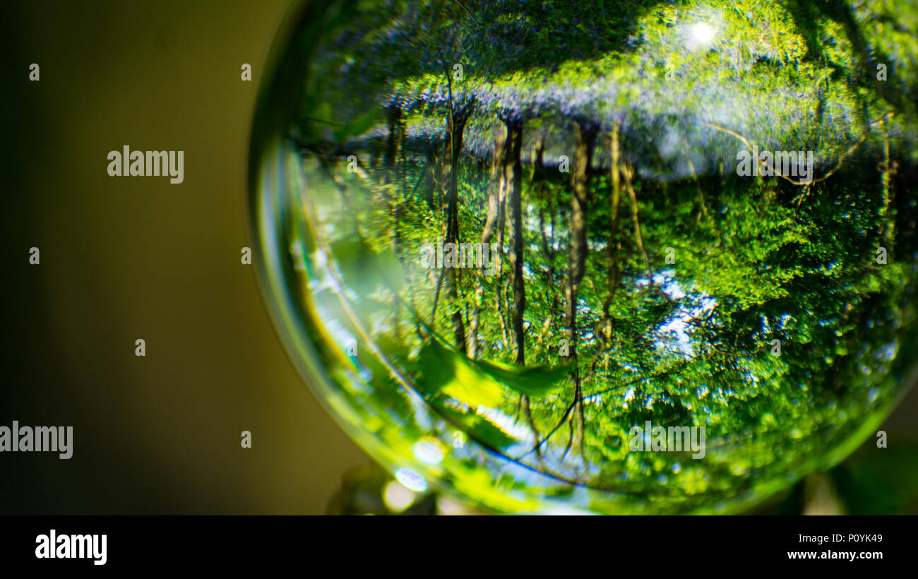 Crystal Photo Magnifying Ball in Forest showing reflected and refracted ...