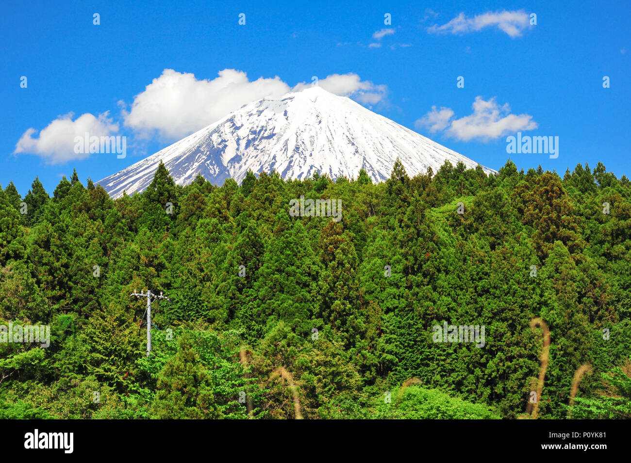 Mount Fuji behind a small forest near Shiraito Falls, Fujinomiya City ...