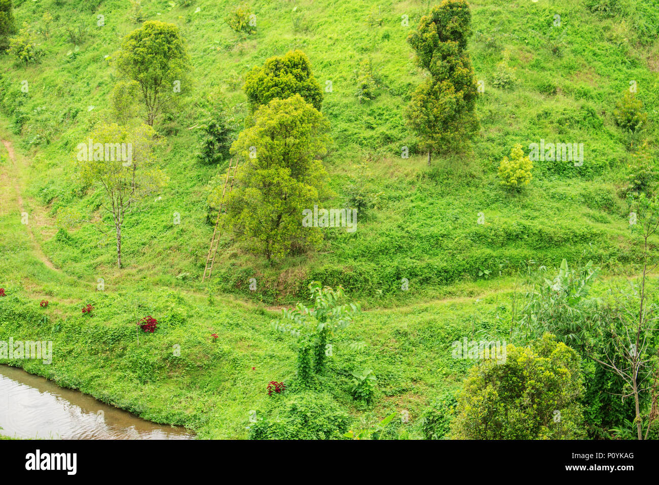 Footpat hi-res stock photography and images - Alamy