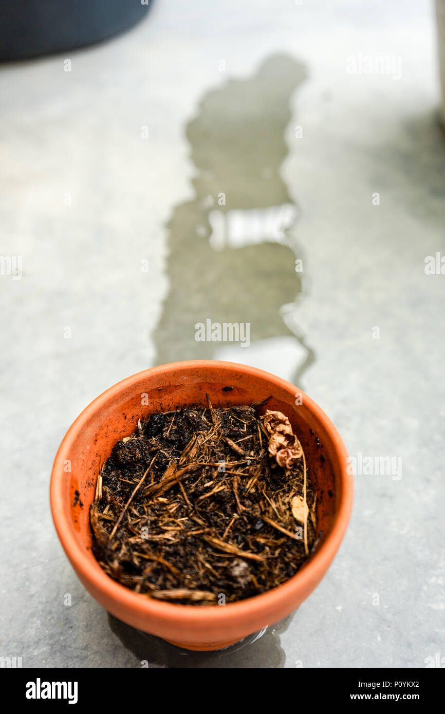 dry ton pot recieved water whit concrete floor background Stock Photo ...