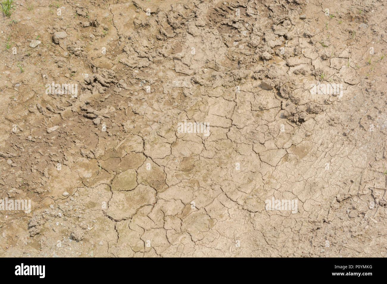 Patch of parched soil. Metaphor split, failing crops, crop losses ...