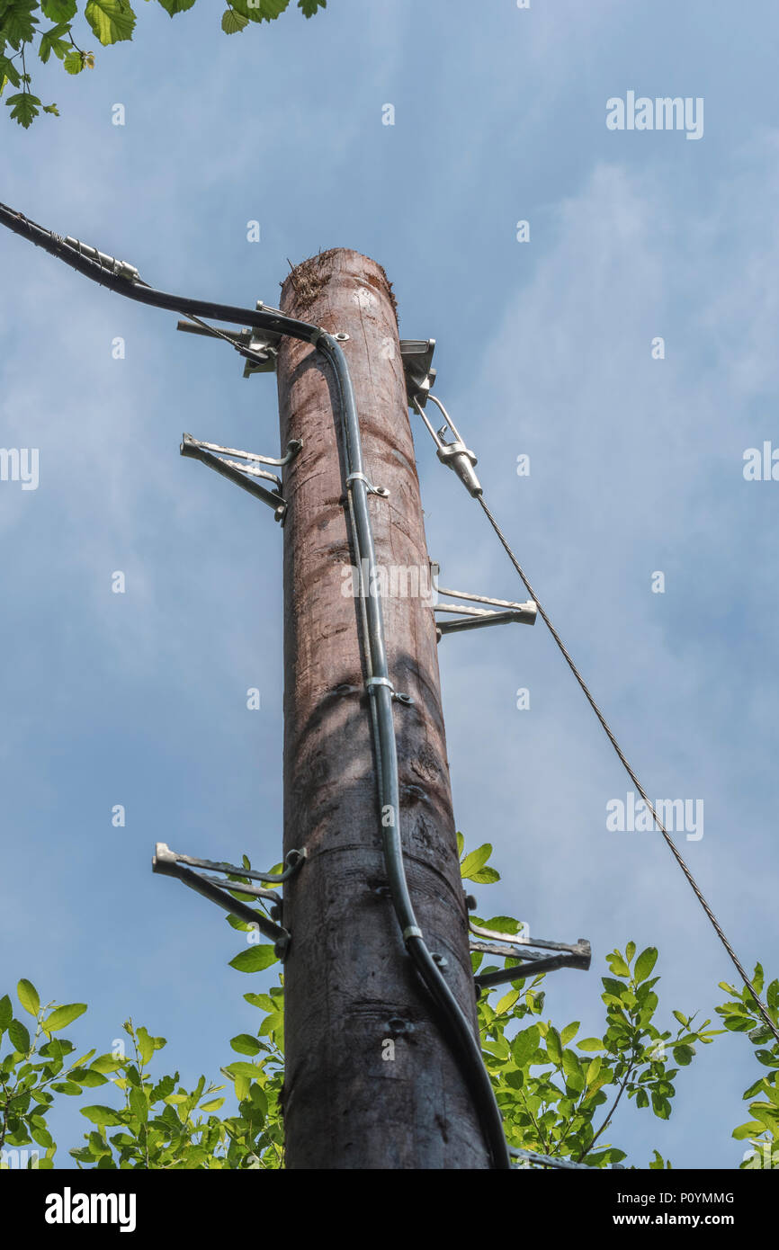 BT / Telephone cabling / telegraph pole - as visual metaphor for ...