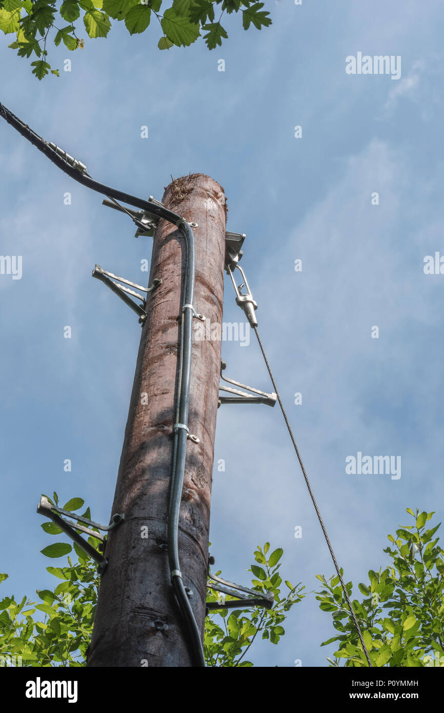 BT / Telephone cabling / telegraph pole - as visual metaphor for ...