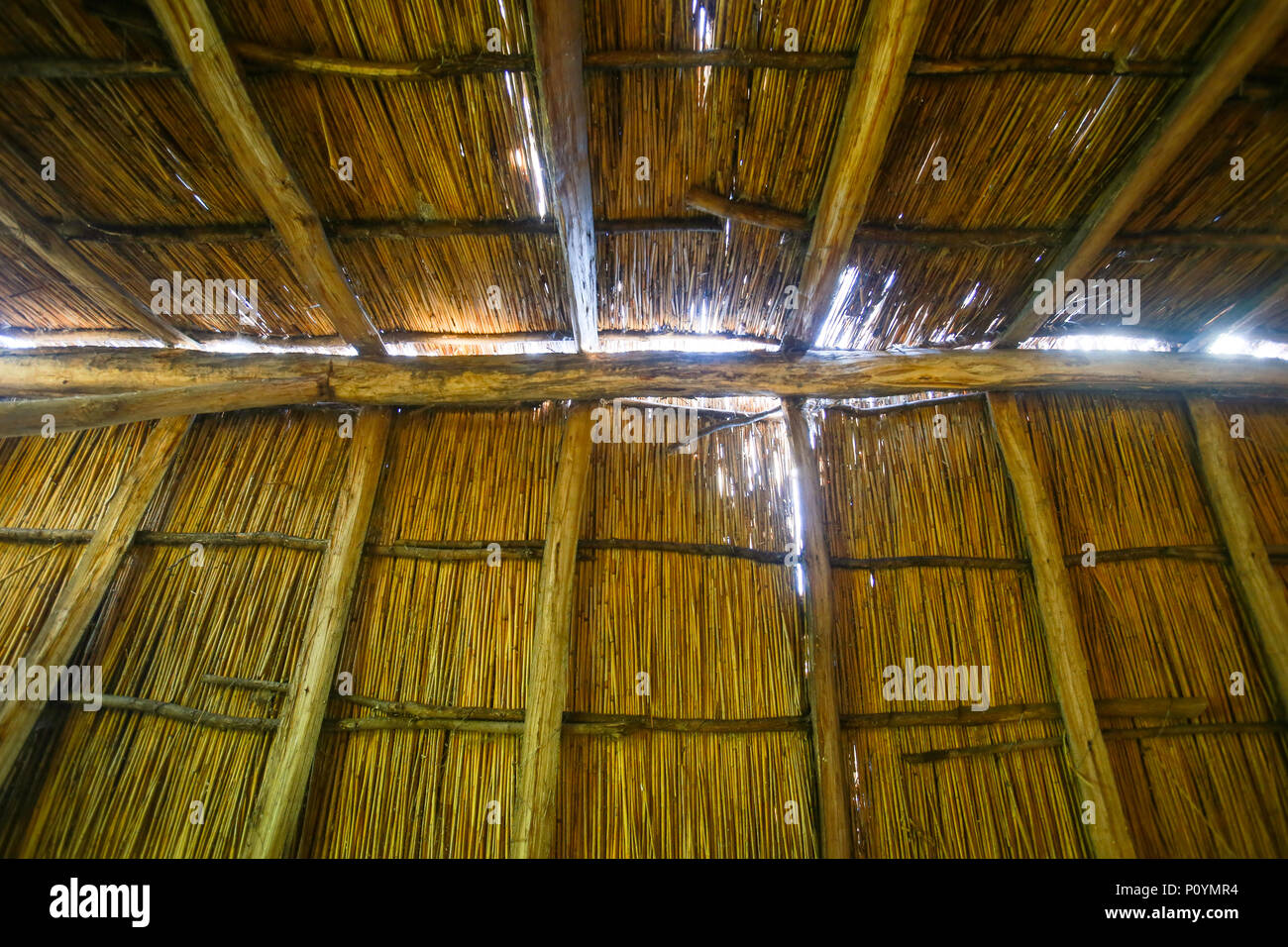 From natural history and ethnology hi-res stock photography and images ...