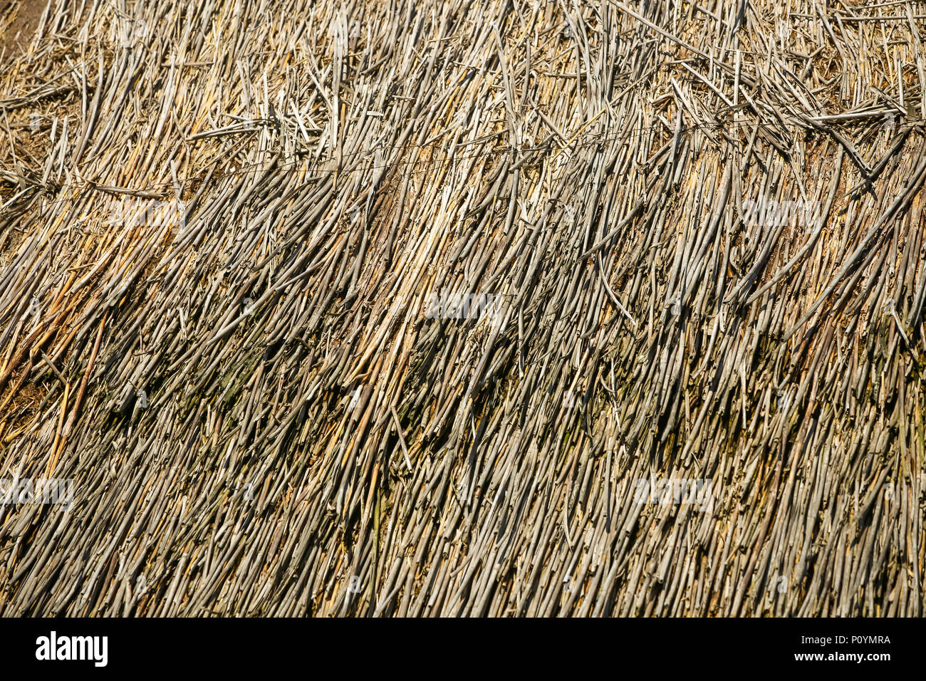 Straw roof texture hi-res stock photography and images - Alamy