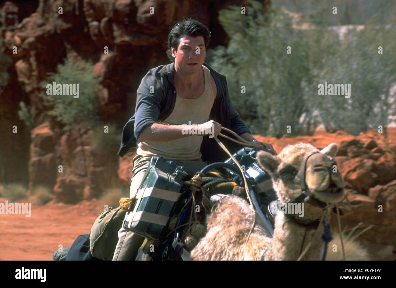 Jack kangaroo jack 2003 hi-res stock photography and images - Alamy