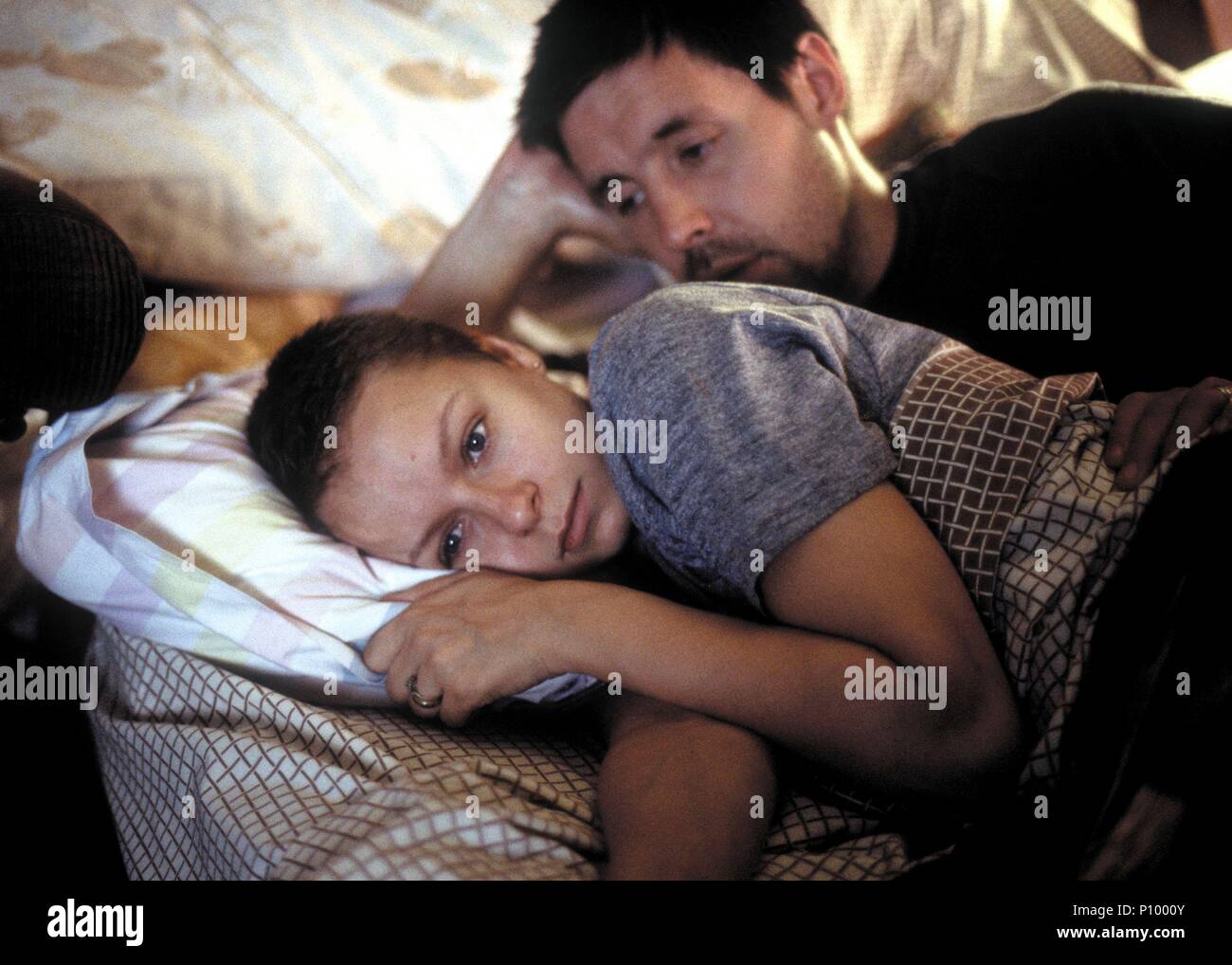 Paddy Fox High Resolution Stock Photography and Images - Alamy