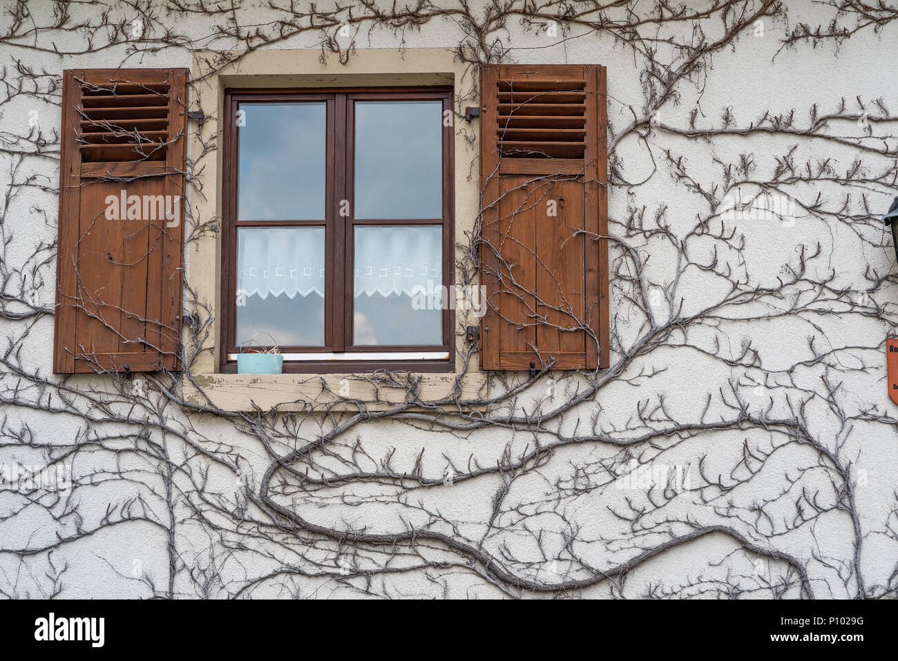 Schloss castell hi-res stock photography and images - Alamy