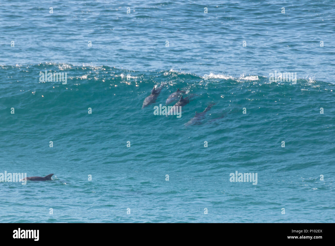 Ballito, Kwazulu Natal, South Africa Stock Photo - Alamy