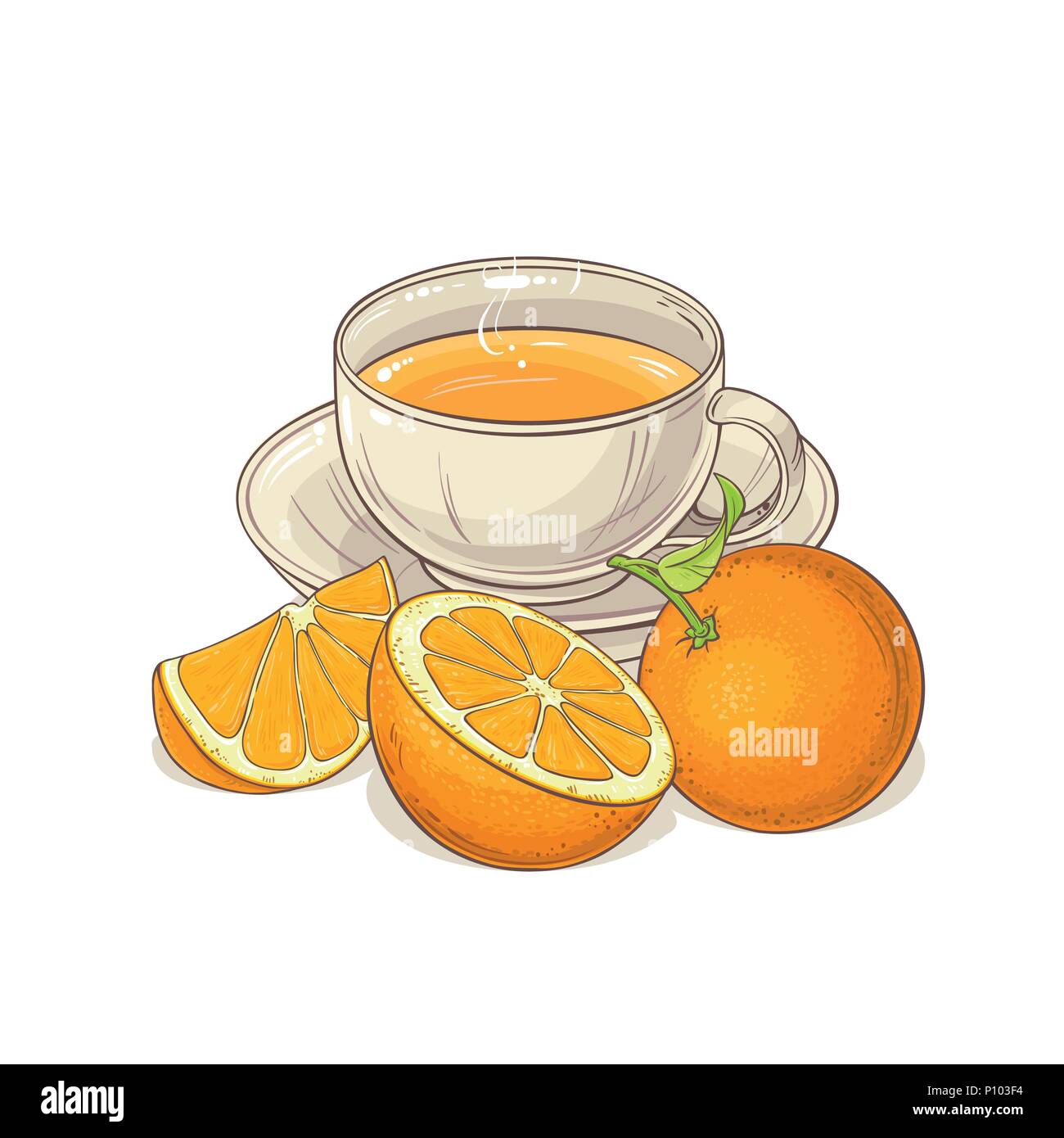 Closeup fresh tea flower Stock Vector Images - Alamy