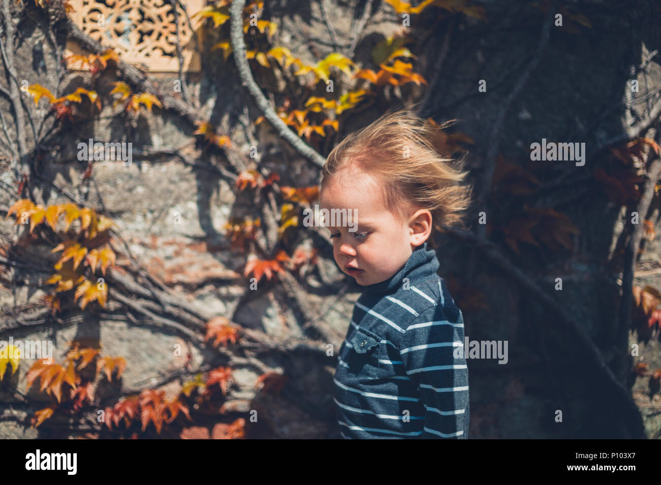 Wind blown dress hi-res stock photography and images - Alamy