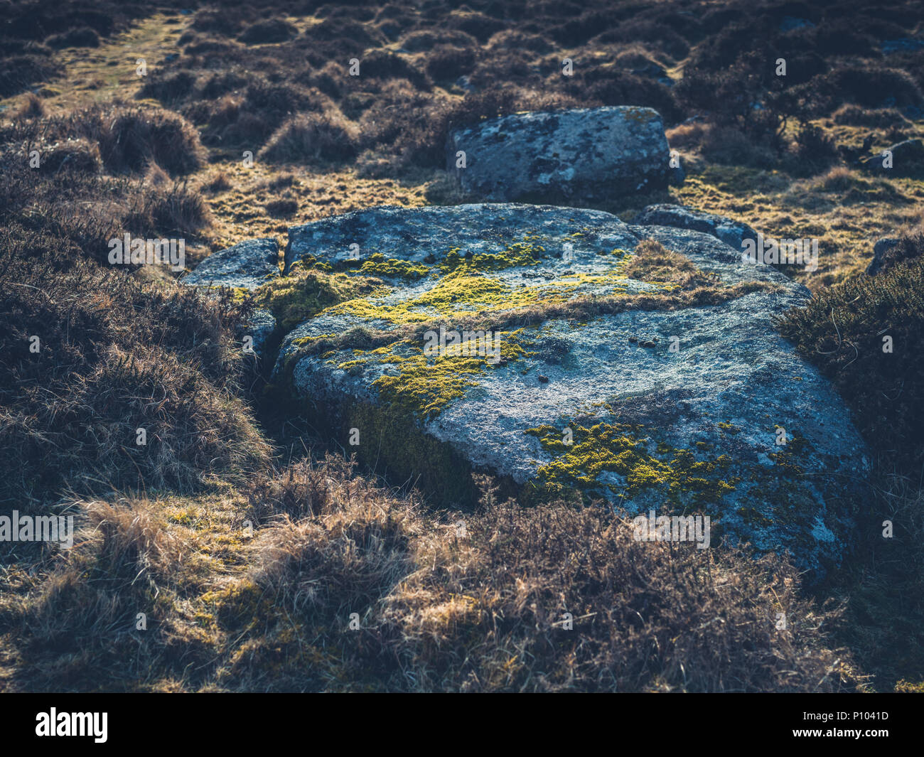 Springtime on the moor hi-res stock photography and images - Alamy