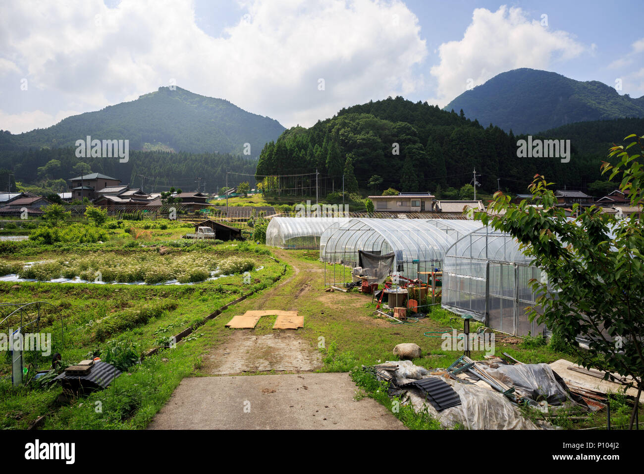 Japan greenhouses hi-res stock photography and images - Alamy