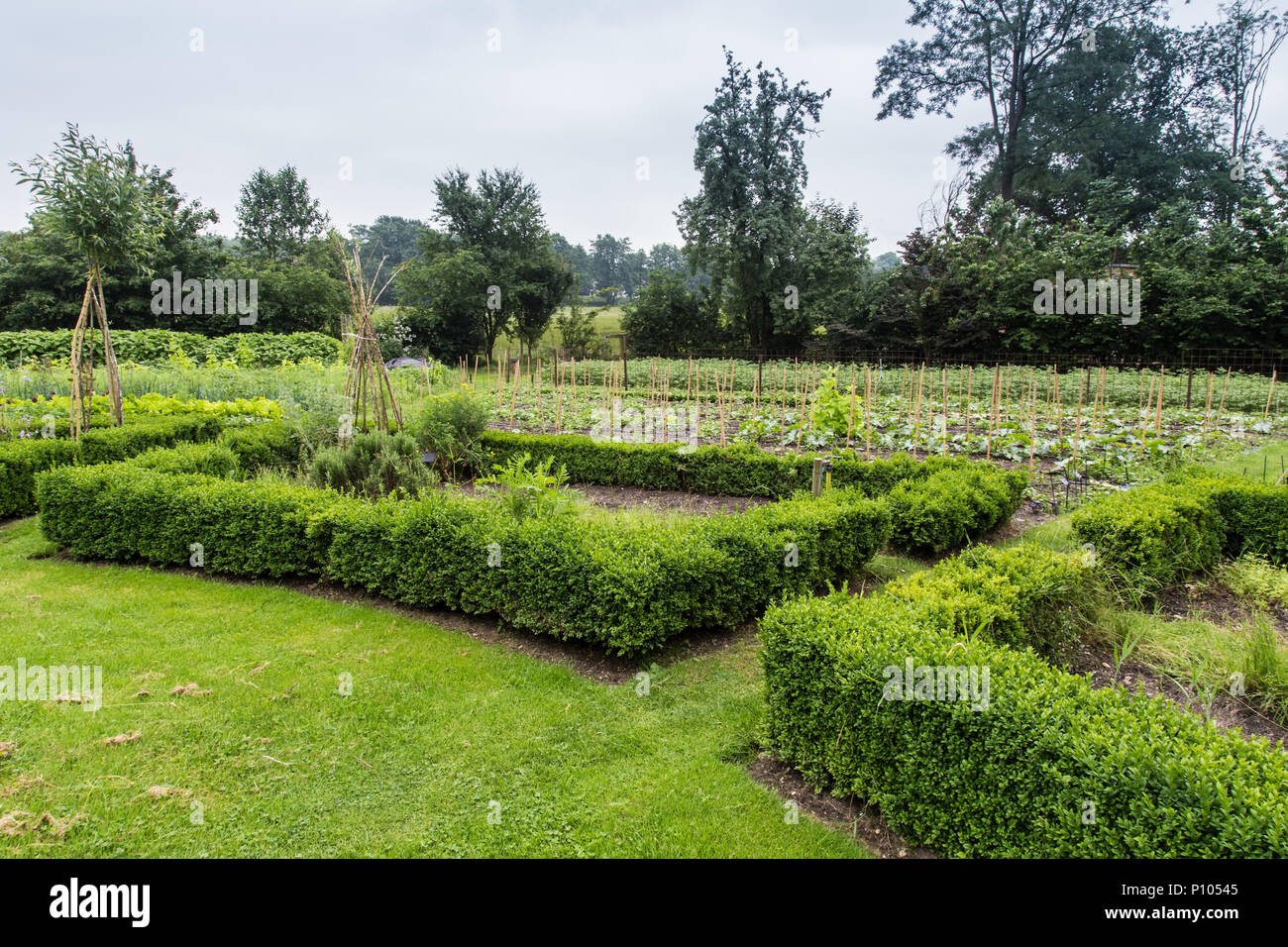 Landscape of Urban vegetable garden Stock Photo - Alamy