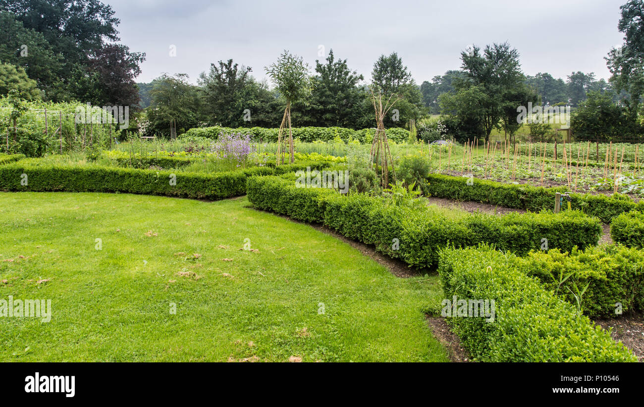 Landscape of Urban vegetable garden Stock Photo - Alamy