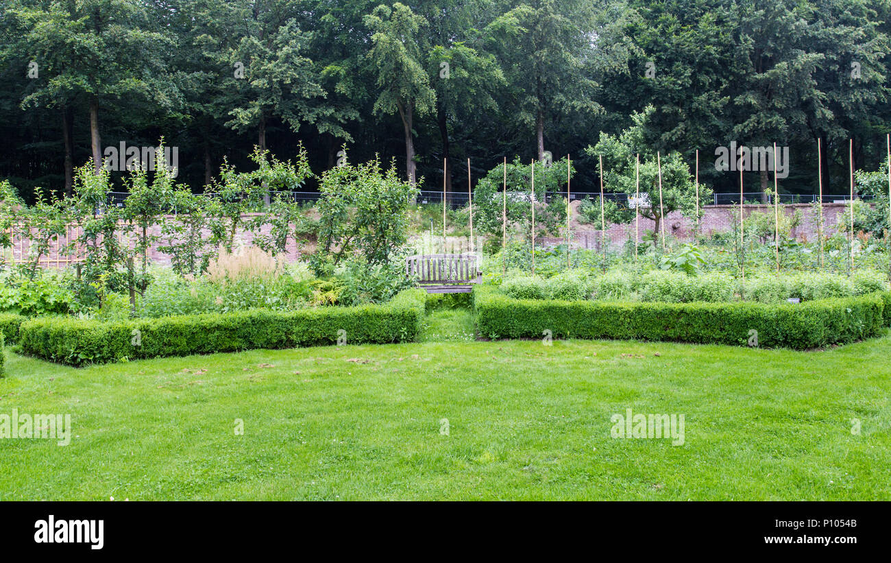 Urban vegetable garden with bench Stock Photo - Alamy