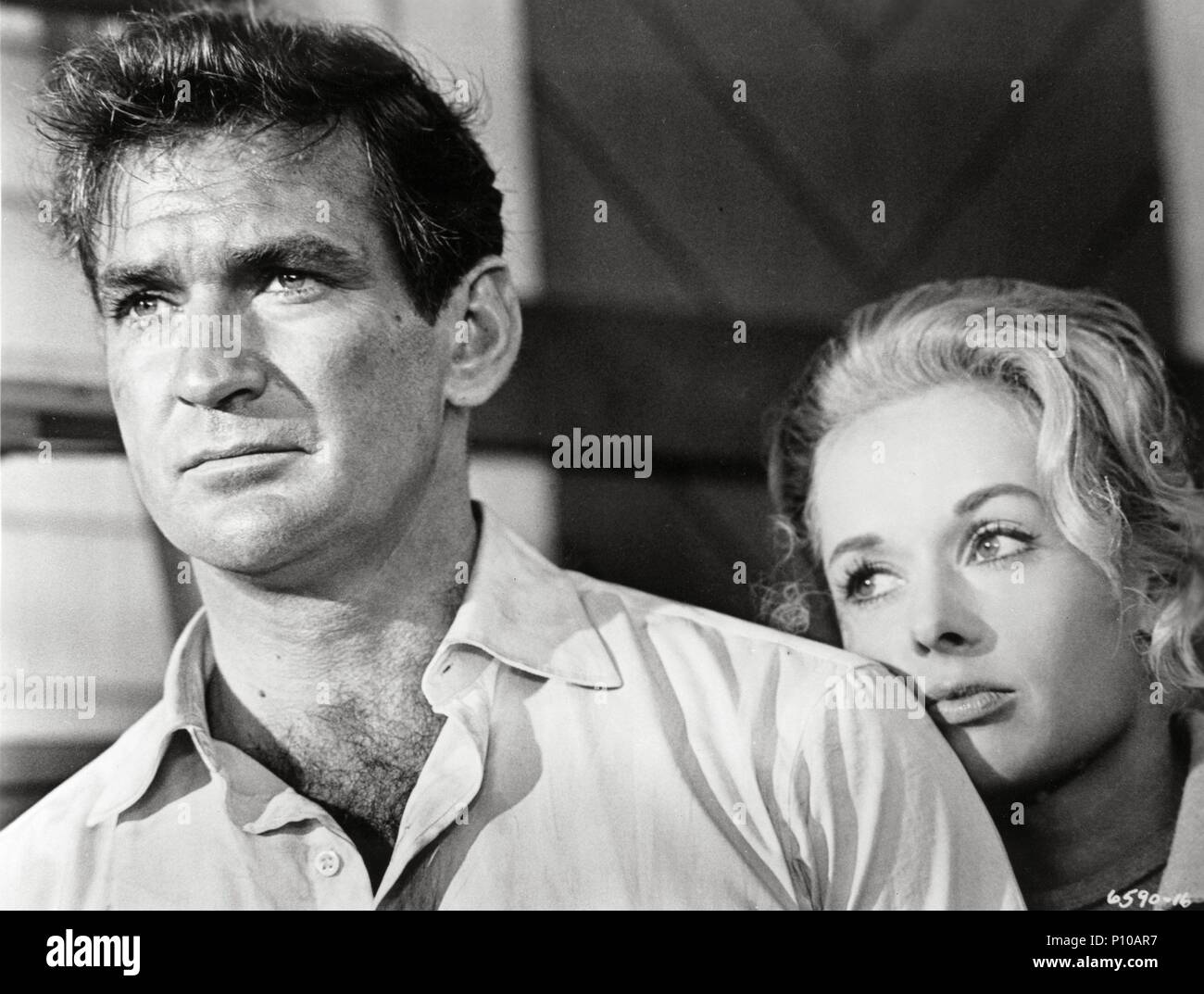 Original Film Title: THE BIRDS. English Title: THE BIRDS. Film Director ...